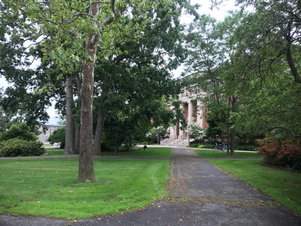 Report from MMSYS 2019 – by Alia Sheikh – ACM SIGMM Records